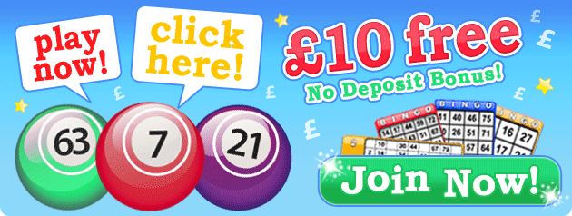 Yes Bingo | Flash News